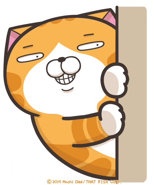 Animated Gif Dancing Cat