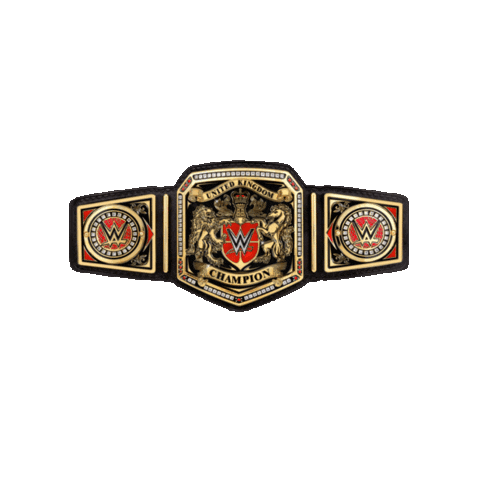 Buy Championship Belt Championship Belt Gif GIF Extended Preview Ufc ...