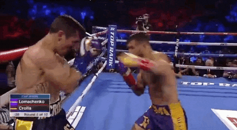 Top Rank Boxing GIF - Find & Share on GIPHY