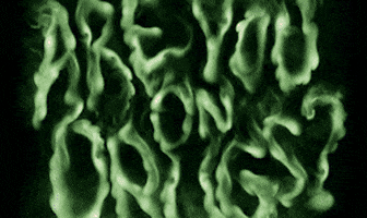 Queries GIFs - Get the best GIF on GIPHY