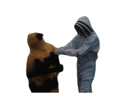 Run Hug Sticker by The Head And The Heart for iOS & Android | GIPHY