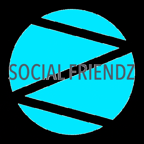 Social Media Agency GIF by Social Friendz - Find & Share on GIPHY