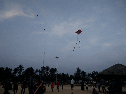 Flyingkite GIFs - Find & Share on GIPHY