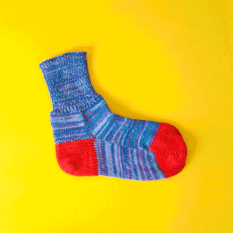 Socks GIFs - Find & Share on GIPHY