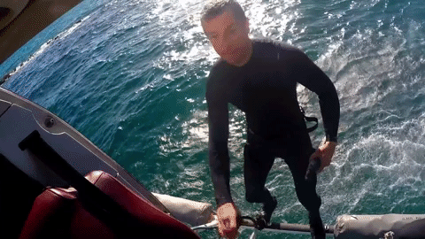 Water Jump GIF by Discovery Europe - Find & Share on GIPHY