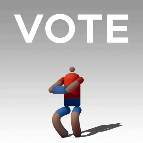 Voting United States GIF by sahlooter - Find & Share on GIPHY