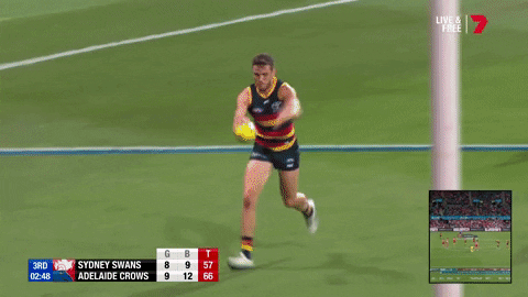Afl Celebrate GIF by Adelaide Crows - Find & Share on GIPHY