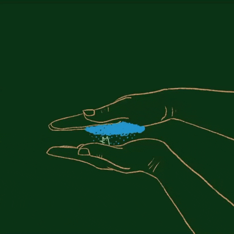 Gnats GIFs - Find & Share on GIPHY