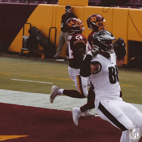 Celebrate Regular Season GIF by NFL - Find & Share on GIPHY