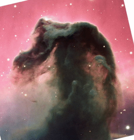 Nebula Horsehead GIF - Find & Share on GIPHY