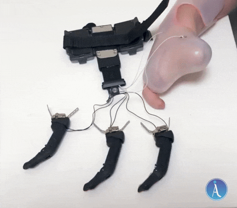 Fingers Amputee GIF by A Step Ahead Prosthetics - Find & Share on GIPHY