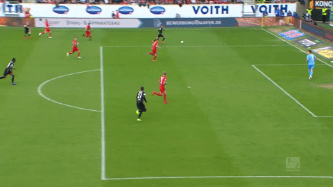 1 Fc Cologne Football GIF by 1. FC Köln - Find & Share on GIPHY