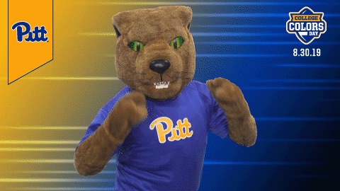 College Sports Mascots GIF by College Colors Day - Find & Share on GIPHY