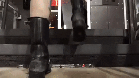 ACL Live GIF - Find & Share on GIPHY