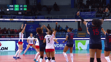 Happy Celebration GIF by Volleyball World - Find & Share on GIPHY