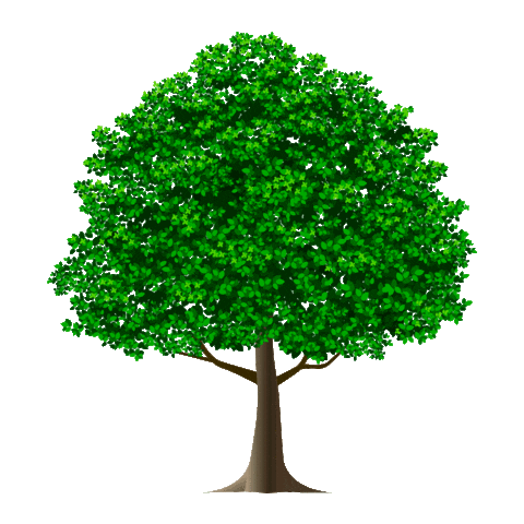 Tree Forest Sticker by eon_italia for iOS & Android | GIPHY