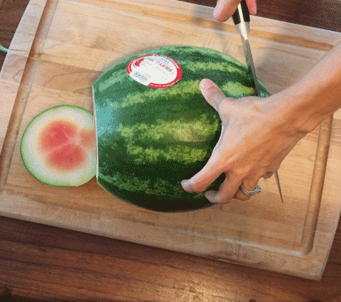 Cut GIF - Find & Share on GIPHY