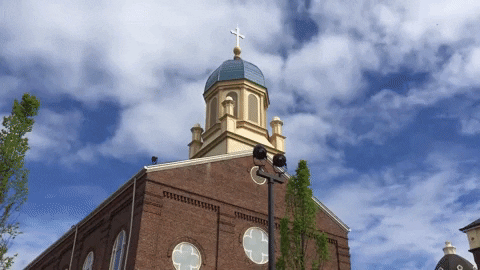 College Life GIF by University of Dayton - Find & Share on GIPHY