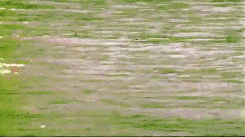 Loop Water GIF - Find & Share on GIPHY