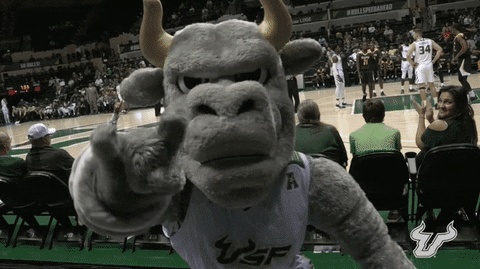 Bulls Horns Up GIF by USF Athletics - Find & Share on GIPHY