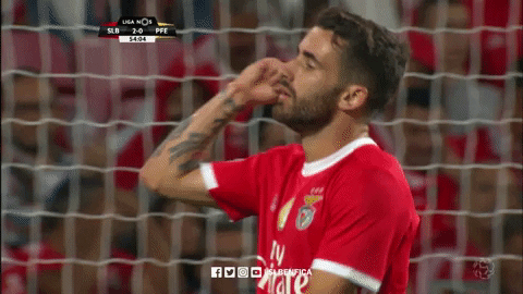 Sl Benfica Rafa GIF by Sport Lisboa e Benfica - Find & Share on GIPHY