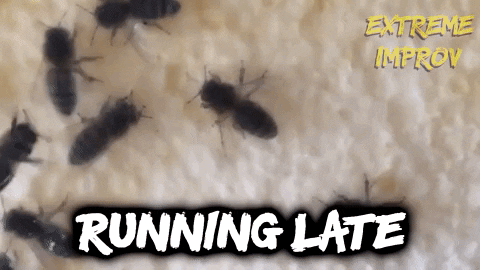Run Running Late GIF by Extreme Improv - Find & Share on GIPHY