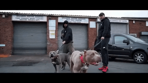 Rap Dogs GIF by Jaykae - Find & Share on GIPHY