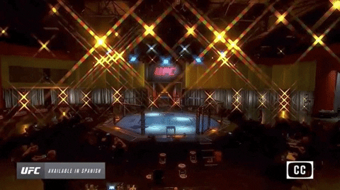 Sport Mma GIF by UFC - Find & Share on GIPHY