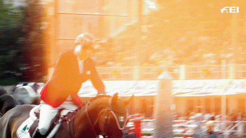 Celebrate Come On GIF by FEI Global - Find & Share on GIPHY