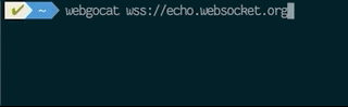 GitHub - elliotaplant/webgocat: A command line WebSocket client with ...