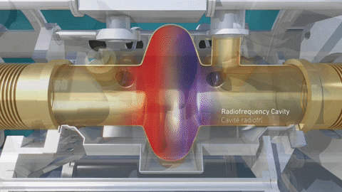 GIF by CERN - Find & Share on GIPHY