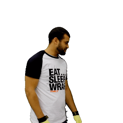 Sid Ok Sticker by SIDSIGNS for iOS & Android | GIPHY