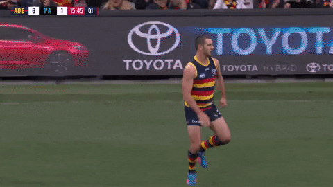 Round 20 Celebration GIF by Adelaide Crows - Find & Share on GIPHY