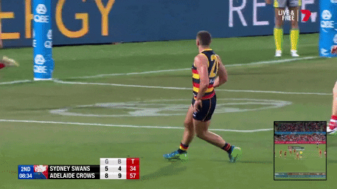 Afl Celebrate GIF by Adelaide Crows - Find & Share on GIPHY