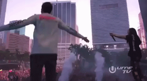Rave Miami GIF by Ultra Music - Find & Share on GIPHY