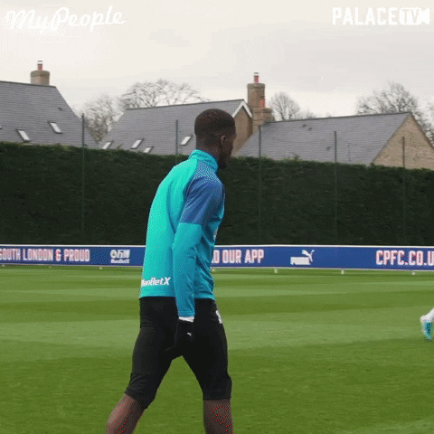 CPFC GIFs - Find & Share on GIPHY