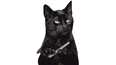 Bored Cat Sticker by Justin for iOS & Android | GIPHY