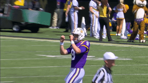 College Football Reaction GIF by SEC Network - Find & Share on GIPHY