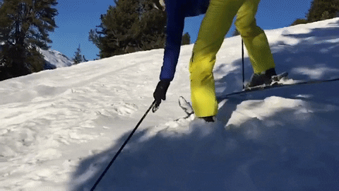 Snow Falling GIF by Keytoe - Find & Share on GIPHY