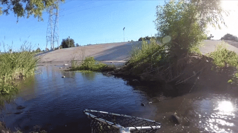 Fish Fishing GIF by Outside TV - Find & Share on GIPHY