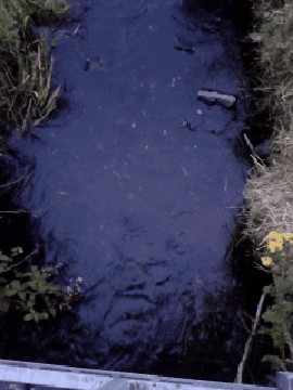 River Walks GIF - Find & Share on GIPHY