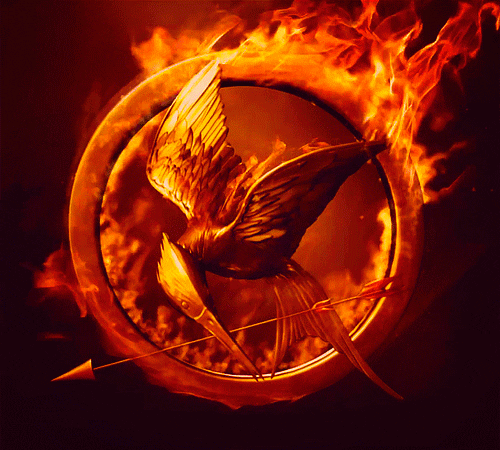 Catching Fire Gif Tumblr