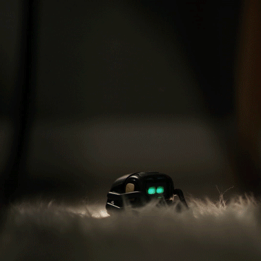 Cute Robot GIF by Anki - Find & Share on GIPHY