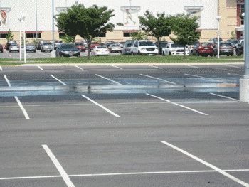 Animated Parking Spot