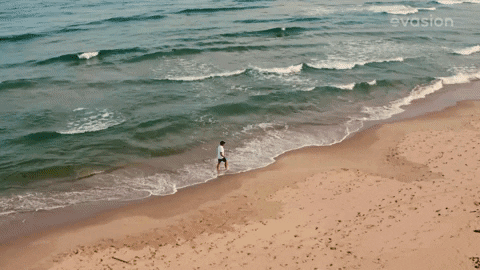 Beach Sea GIF by Productions Deferlantes - Find & Share on GIPHY