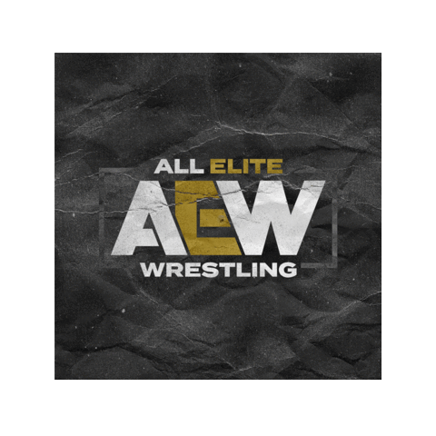 Ä Ew Aew Logo Sticker by ALL ELITE WRESTLING for iOS & Android | GIPHY