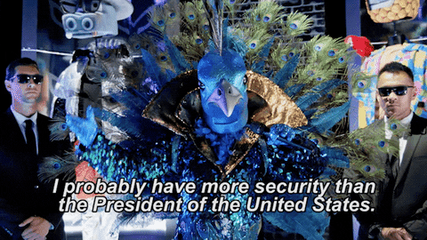 Fox Tv Singing GIF by The Masked Singer - Find & Share on GIPHY