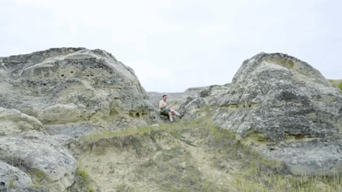 Web Series Frick I Love Nature GIF by TELUS STORYHIVE - Find & Share on ...