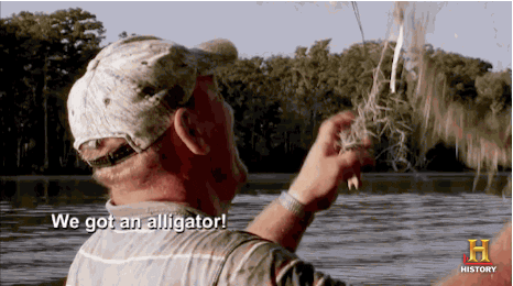 Excited Troy Landry GIF by Swamp People - Find & Share on GIPHY