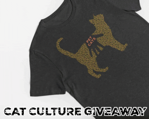 GIF by Your Cat Backpack Travel Cat - Find & Share on GIPHY